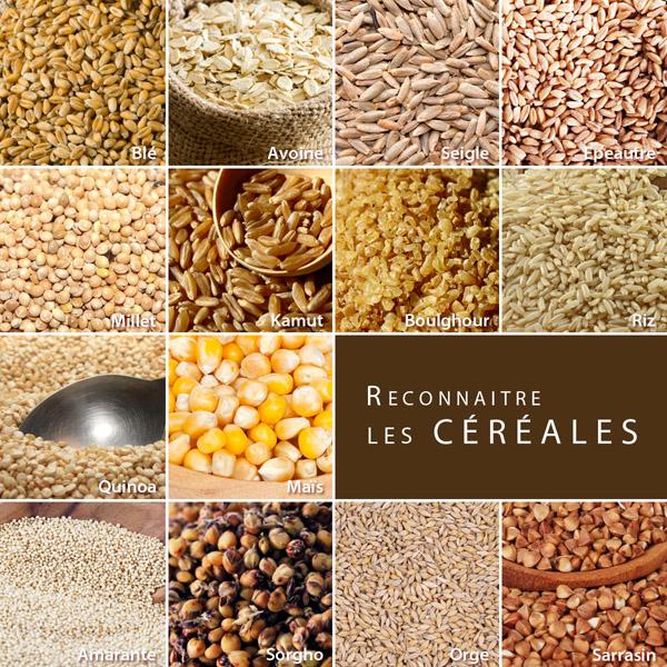 Les céréales : un atout forme indispensble ! - Bien-être au naturel